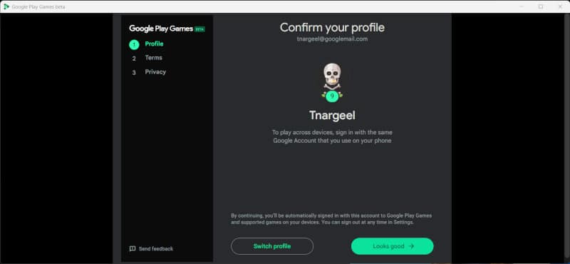 How can I play Google Play Games on a PC? - The Big Tech Question